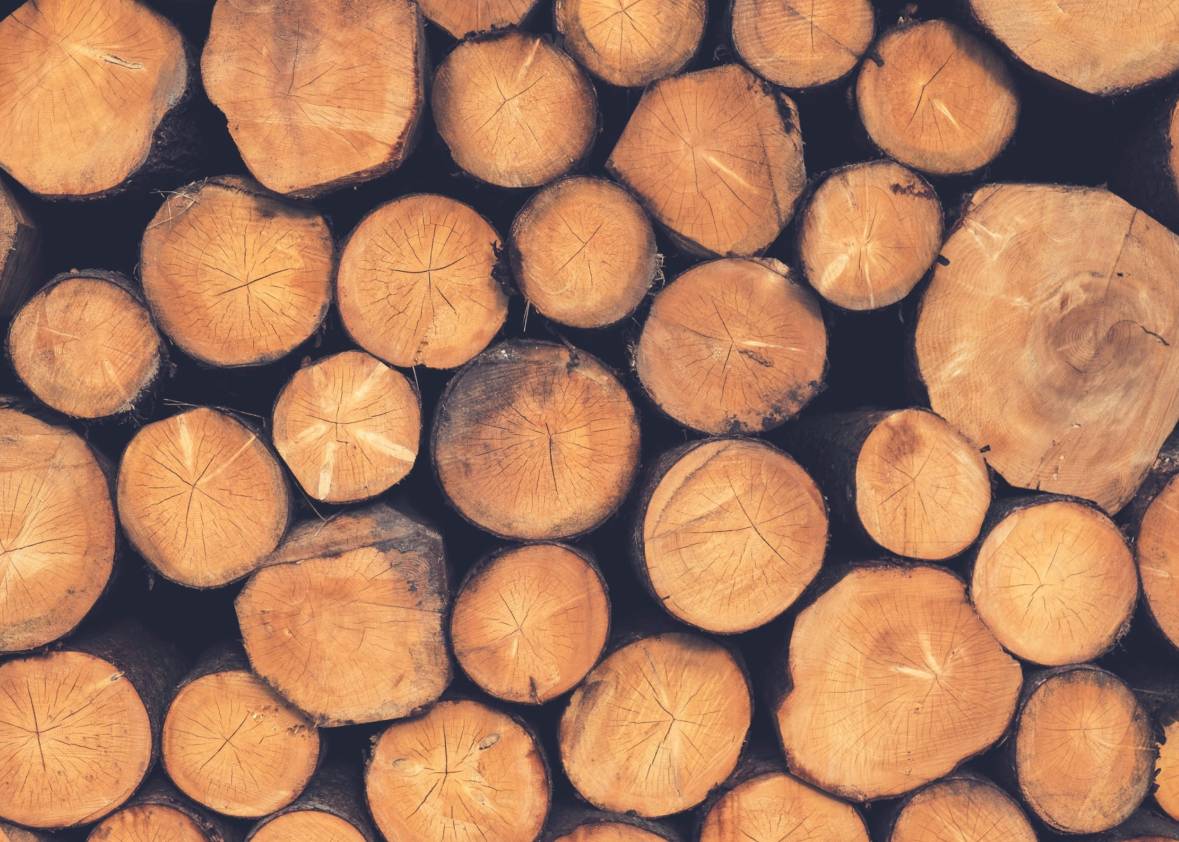 Greaves Tree Services | Professional Arborists Cumbria